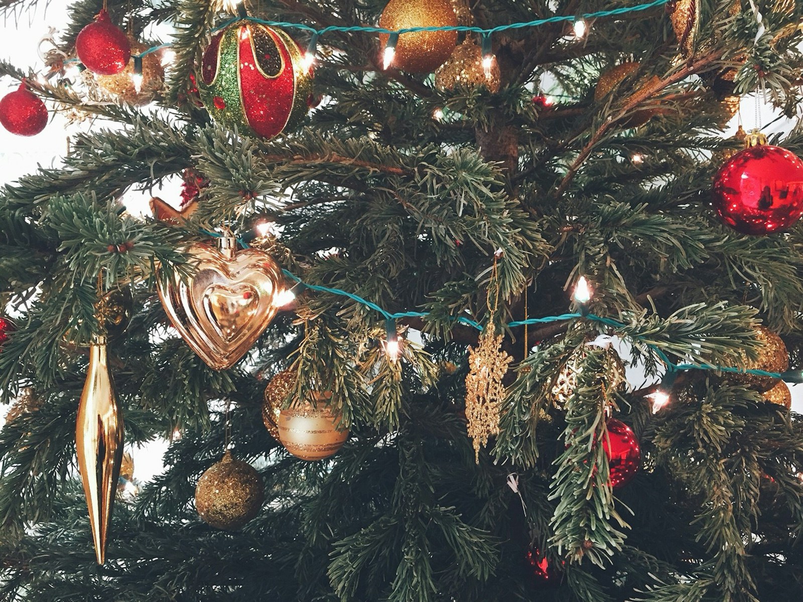 Fêter Yule - 10 rituels modernes pour le célébrer